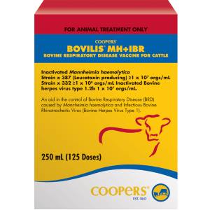 Ruminants - MSD Animal Health Australia