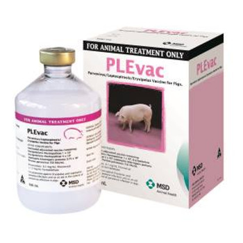 Pigs - MSD Animal Health Australia